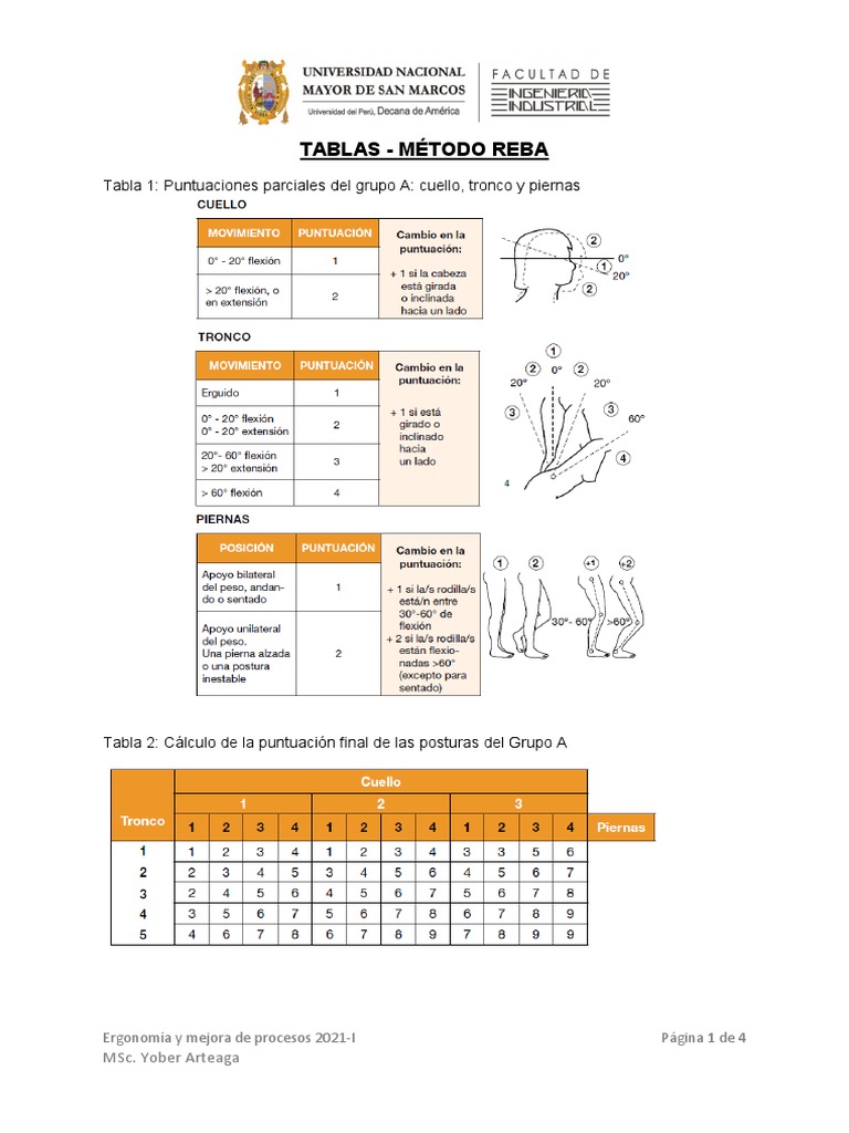 Tablas REBA | PDF | Métodos y materiales de enseñanza | Informática