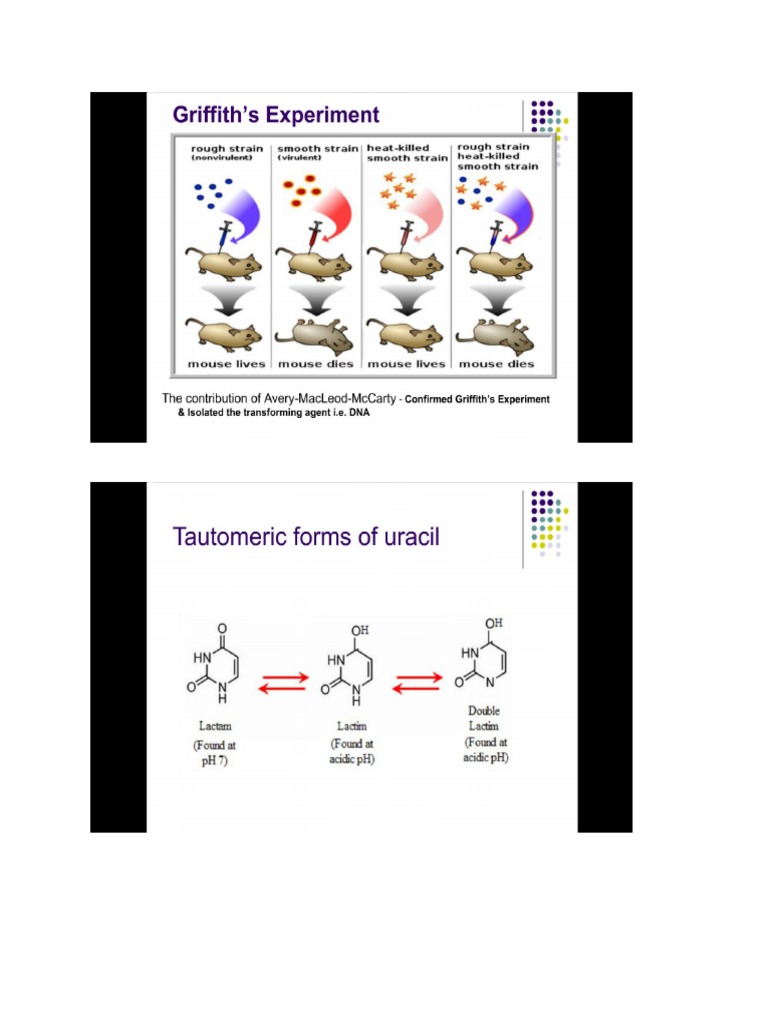 Griffith Experiment | PDF