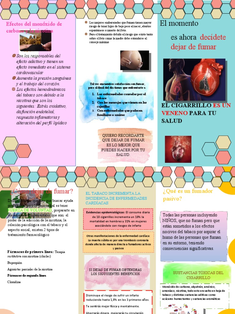 Triptico Preventivo Sobre El Tabaco y La Cardiopatía Isquémica | PDF ...