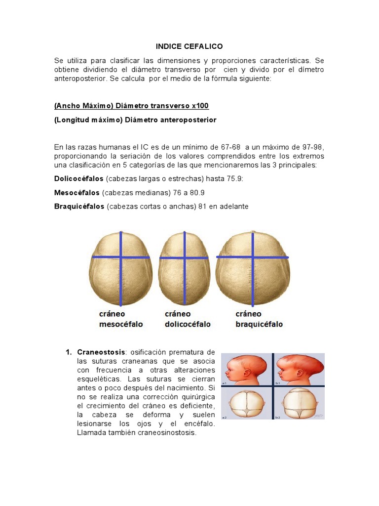 Clasificación del Índice Cefálico | PDF | Salud infantil | Sistema ...