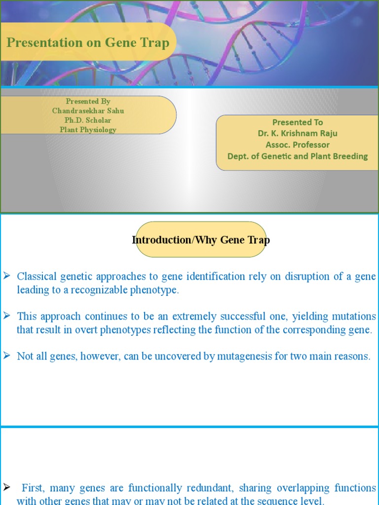 Presentation On Gene Trap | PDF | Rna Splicing | Gene