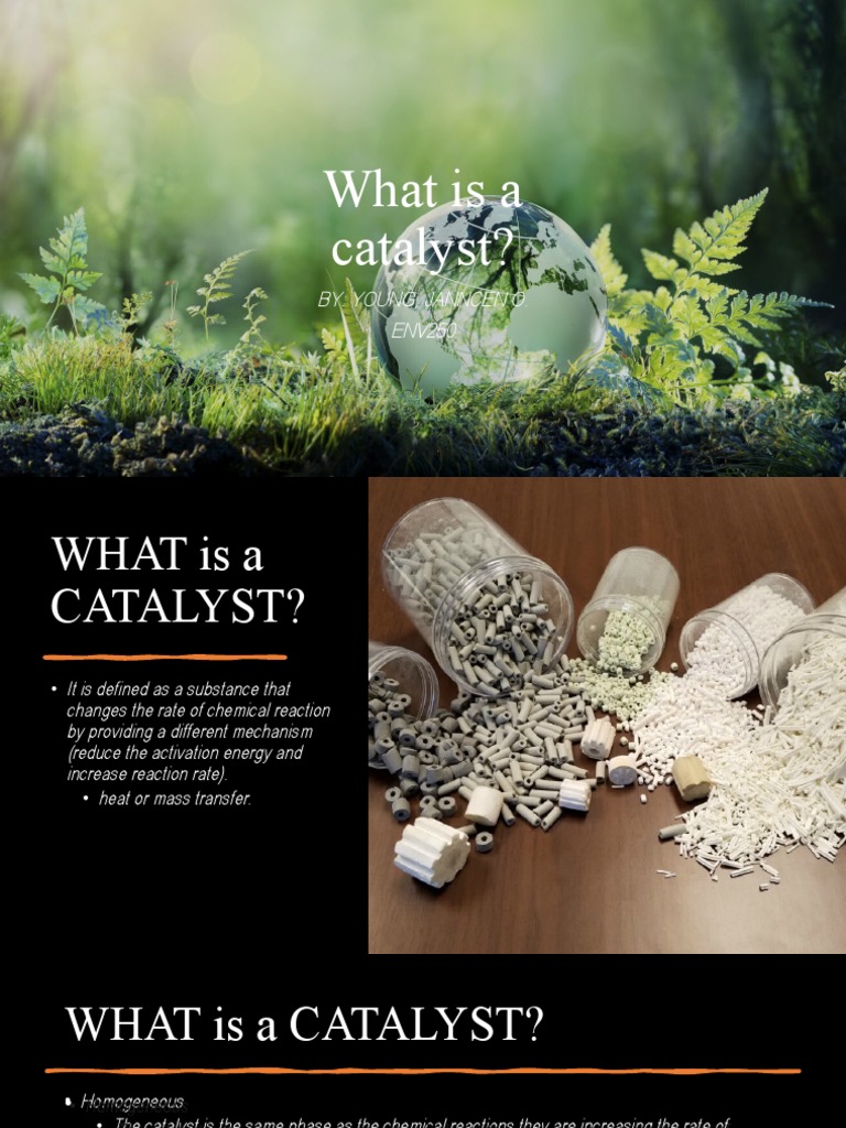 Catalyst Size, Shape, and Efficiency | PDF | Catalysis | Reaction Rate