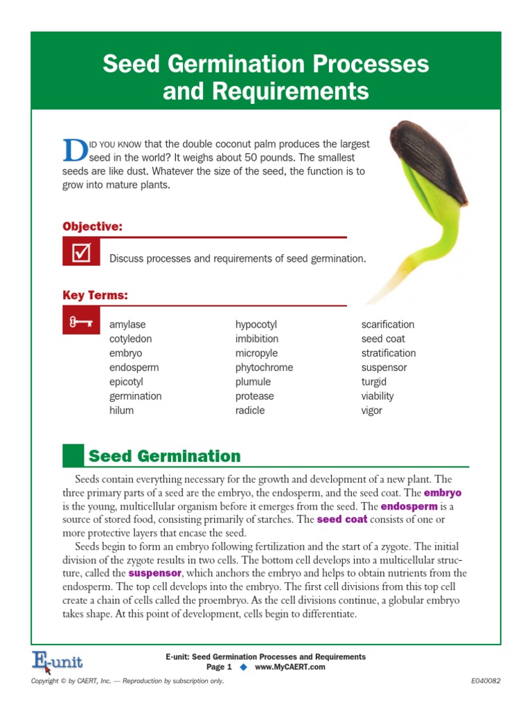 Seed Germination Processes and Requirements | PDF | Seed | Germination