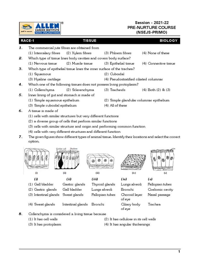 Tissue - NSEJS-Primo Race. | PDF | Tissue (Biology) | Epithelium