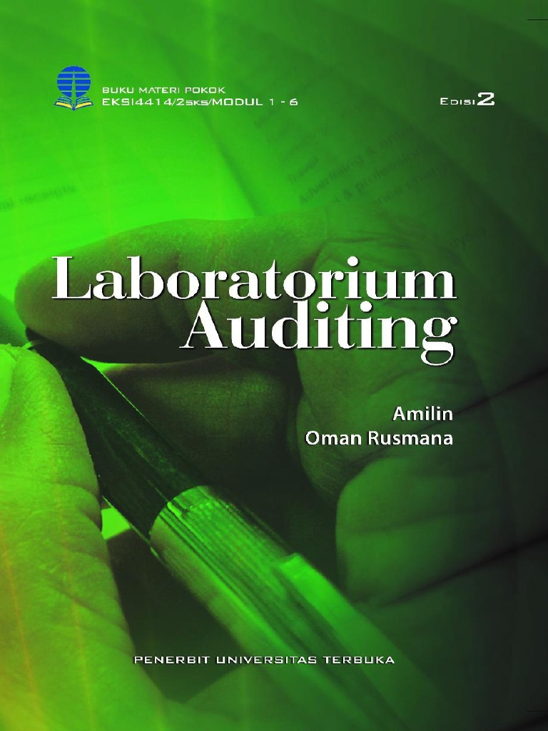 BMP Lab Auditing | PDF