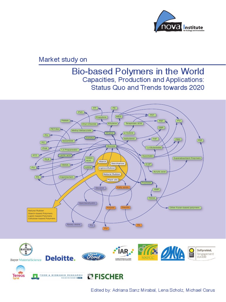 Bio-Based Polymers in The World | PDF | Polymers | Plastic