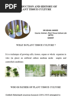 Tissue Culture Laboratory Layout Guide | PDF