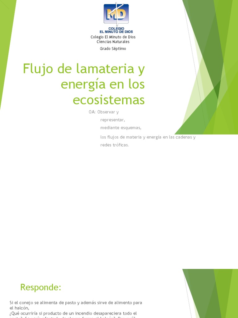 Flujo de materia y energía en ecosistemas | PDF