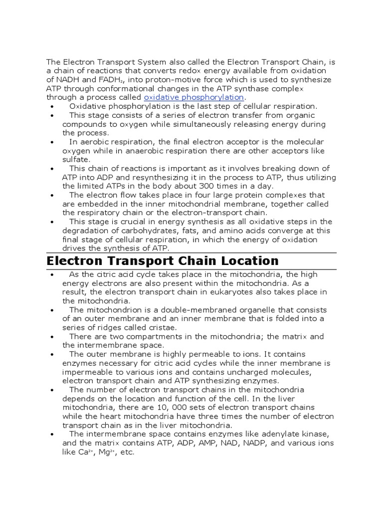 The Electron Transport System Also Called The Electron Transport Chain ...