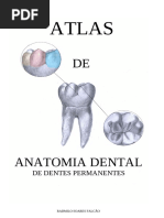 Anatomia dos Caninos Dentais | PDF | Dente | Rosto