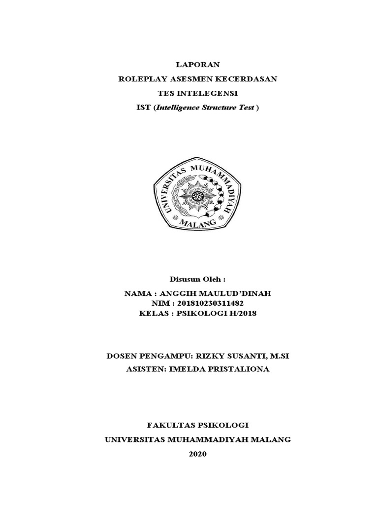 Laporan Hasil Tes Iq Ist Anggi Pdf