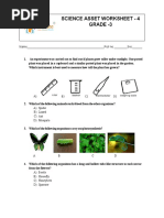 3rd Grade - Food Chain Worksheet | PDF