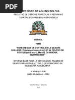 Glifosol - Herbicidas - Ficha Tecnica | PDF | Fotosíntesis | Biosíntesis