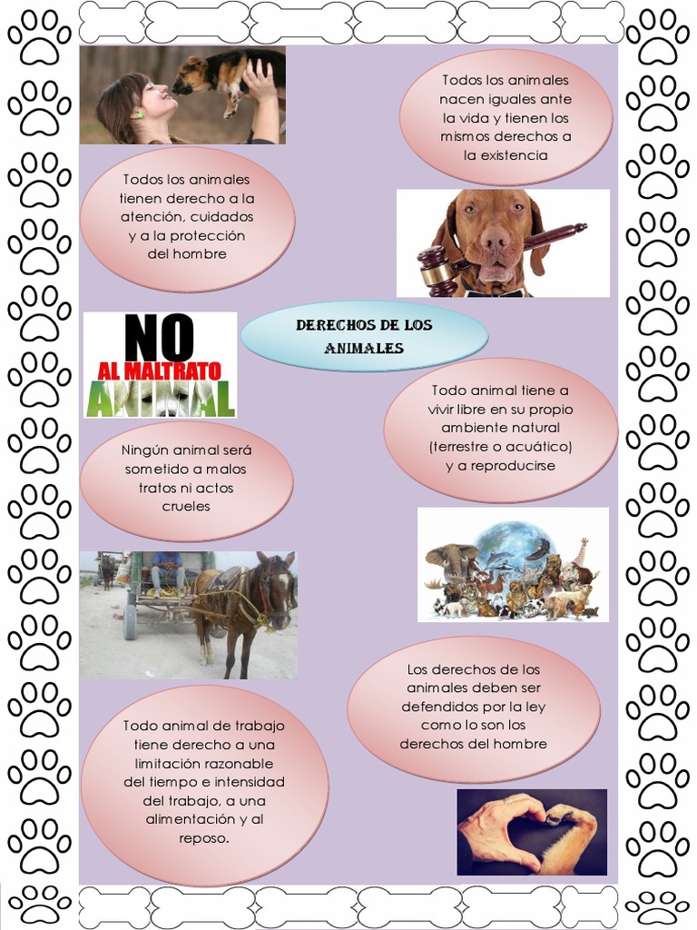 Infografia Derechos Animales | PDF