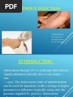 HII Coding Process Guide | PDF | Intravenous Therapy | Injection (Medicine)