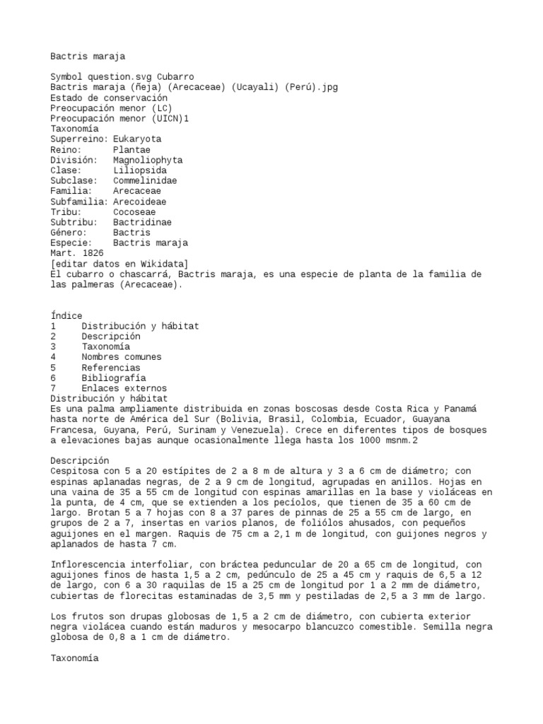 Bactris maraja: Distribución y Descripción | PDF | Arecaceae | Organismos