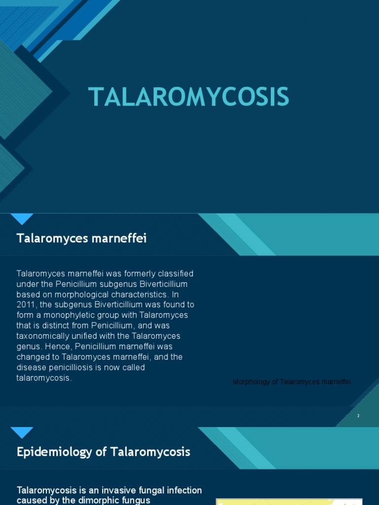 TALAROMYCOSIS | PDF | Veterinary Medicine | Fungus