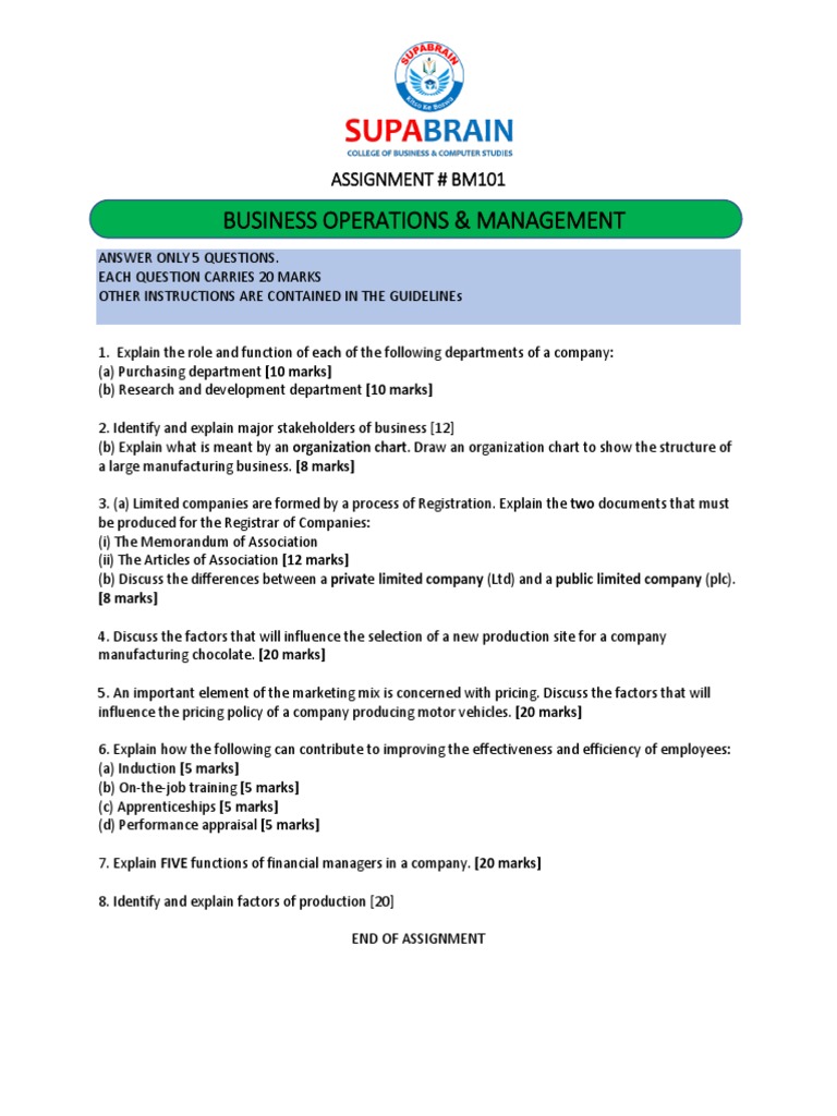 BM101 - Business Operations and Management Assignment | PDF