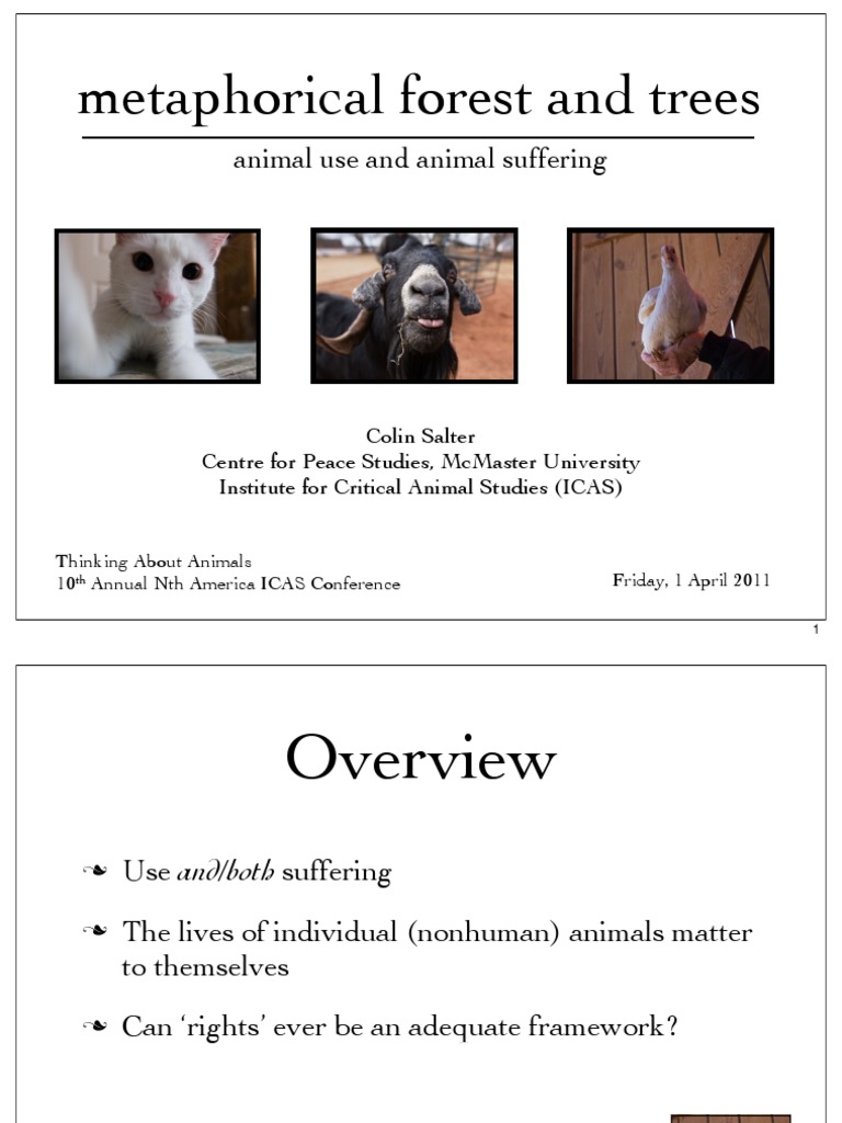 Metaphorical Forest and Trees | PDF | Animal Rights | Bioethics