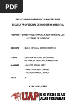 Norma ISO 9011 | PDF