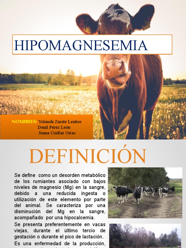 HIPOMAGNESEMIA | PDF | Medicina CLINICA | Especialidades Medicas