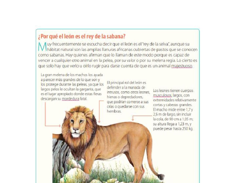 Texto de León | PDF