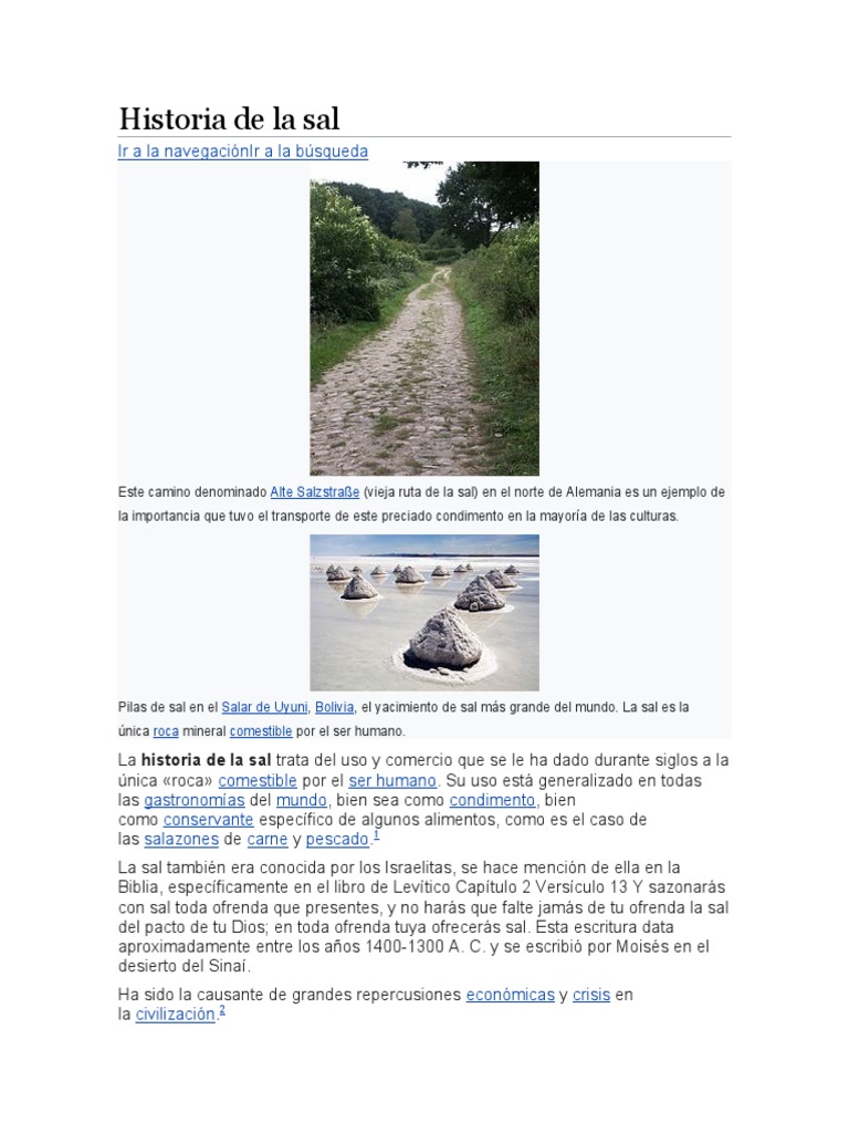 Historia de La Sal | PDF | sal | Alimentos