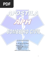 Aula 01 e 02 - Atendimento e Historia de Aph | PDF