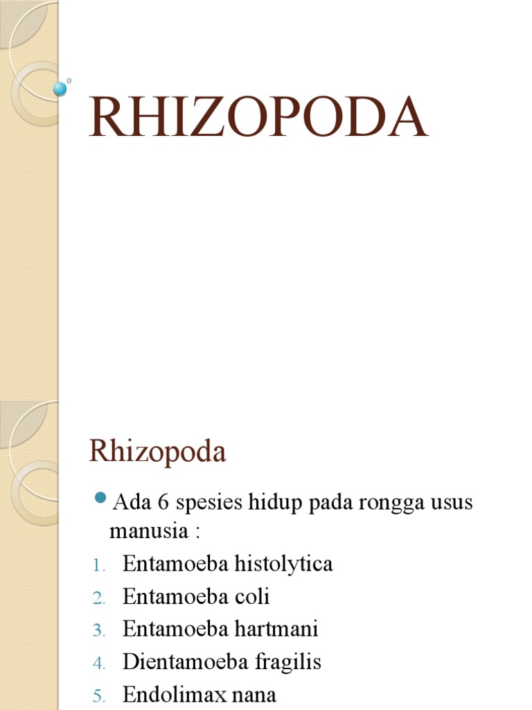 Spesies Rhizopoda dan Penyakitnya | PDF