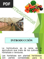 Lista de Alimentos o Comidas Contables e Incontables | PDF | Sustantivo ...