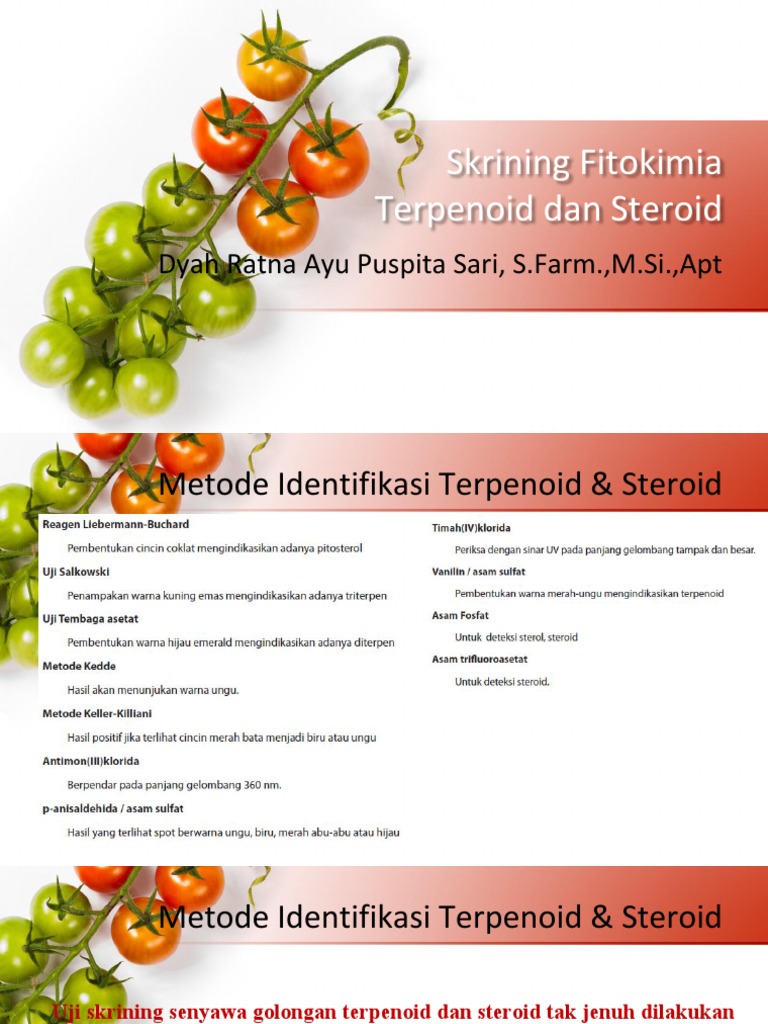 Terpenoid | PDF