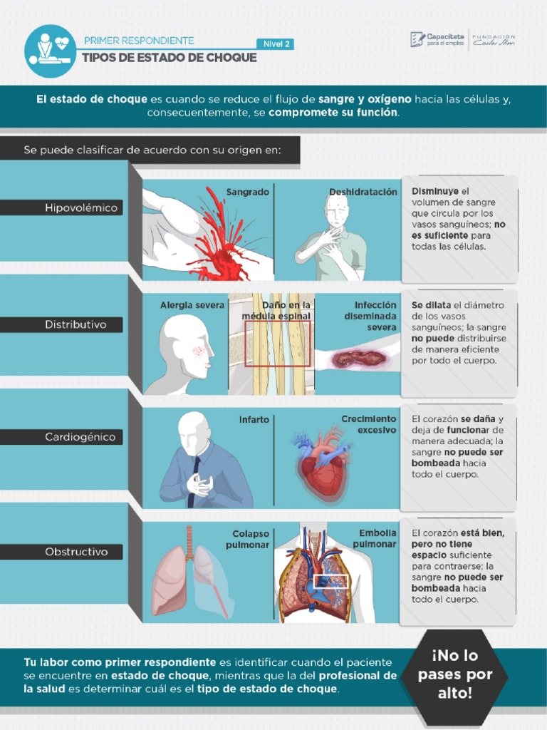 Tipos de Estado de Choque | PDF