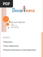 TISSUES (Assertion & Reason) | PDF | Social Science | Wellness