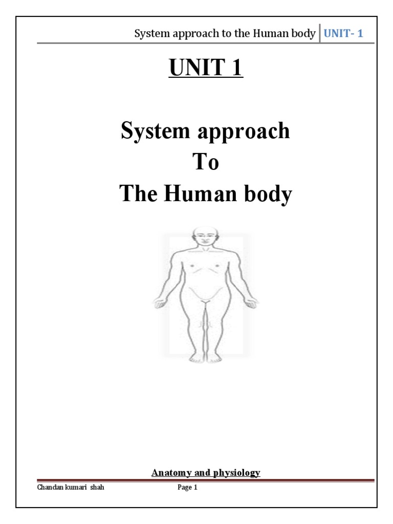 Unit 1 System Approach To Human Body | PDF | Anatomical Terms Of Motion ...
