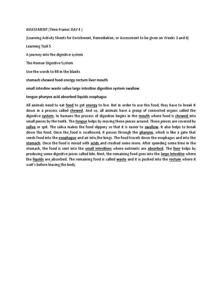 Assessment Digestive System | PDF