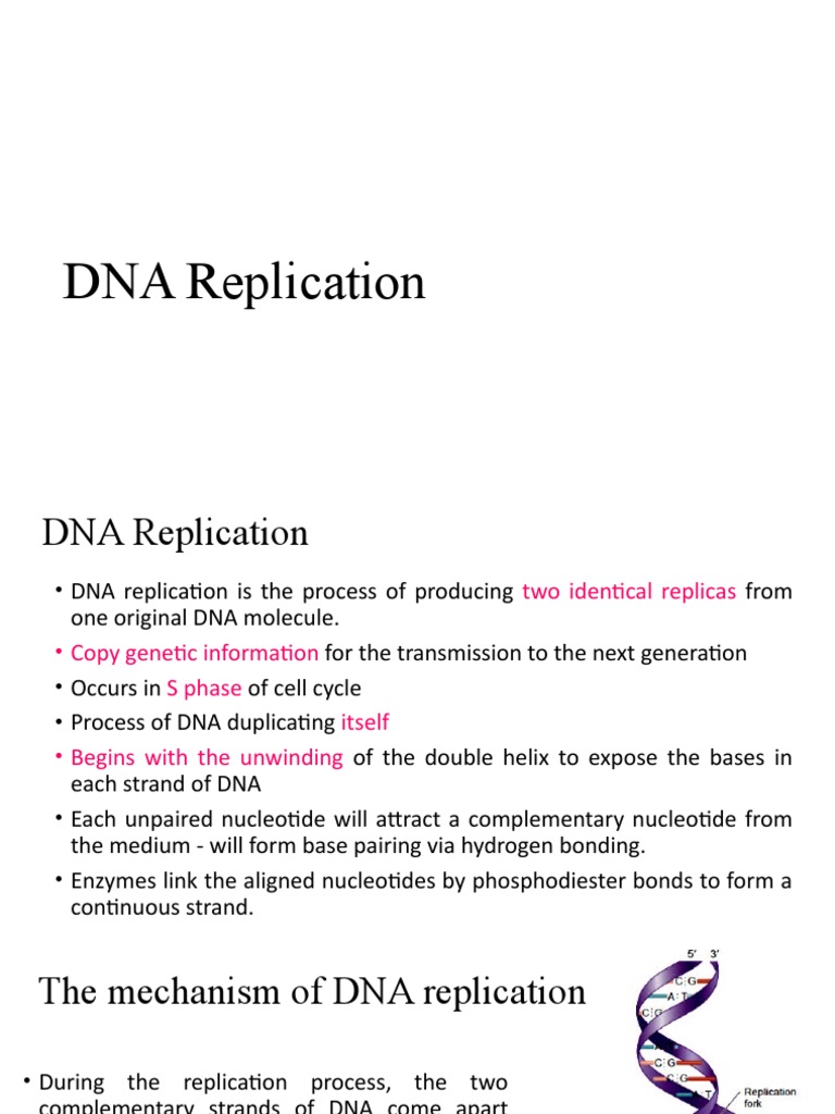 DNA Replication: Semiconservative Model Confirmed by Meselson-Stahl ...