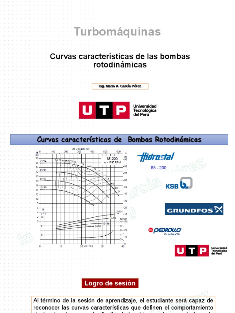 Curvas Características de Bombas | PDF | Curva | Ecuaciones
