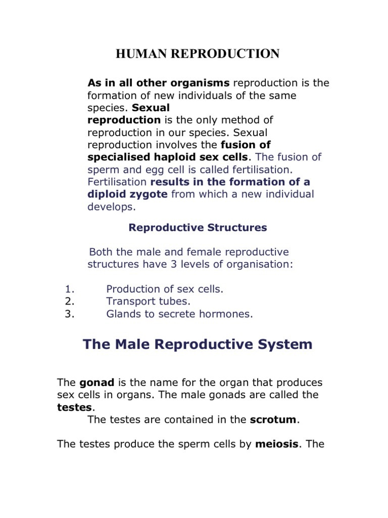 Human Reproduction Pdf Testicle Fertilisation