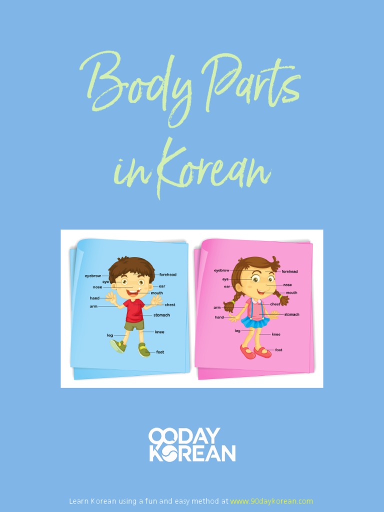 Body Parts in Korean | PDF