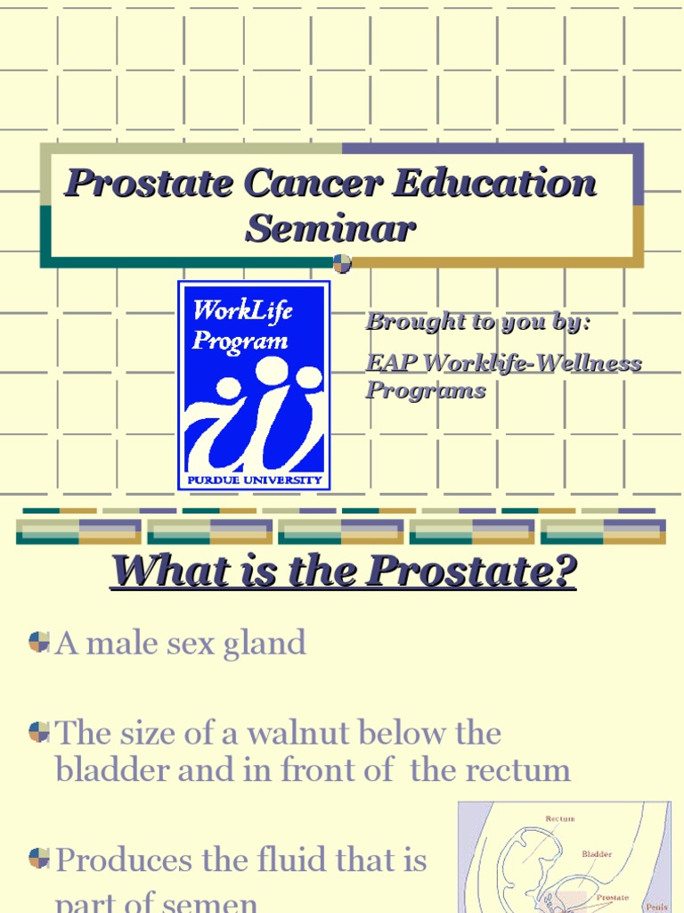 Prostate Cancer Edu | PDF | Prostate Cancer | Prostate