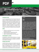 Organigramme Ocp Nouveau | PDF | Maroc | Business