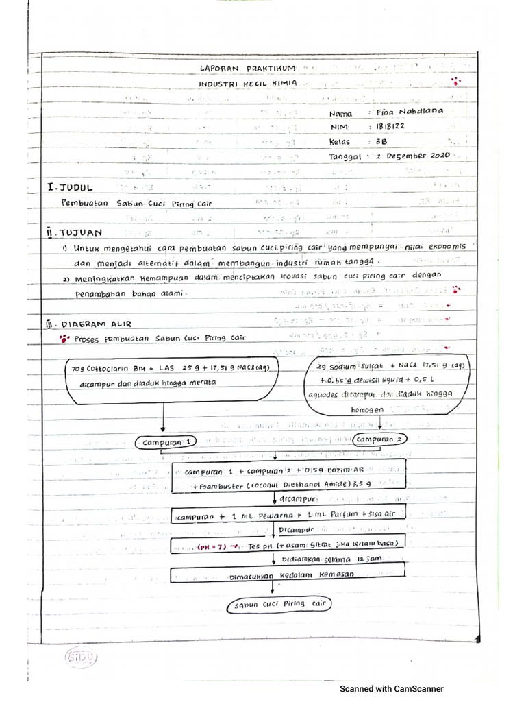 Pembuatan Sabun Cuci Piring | PDF