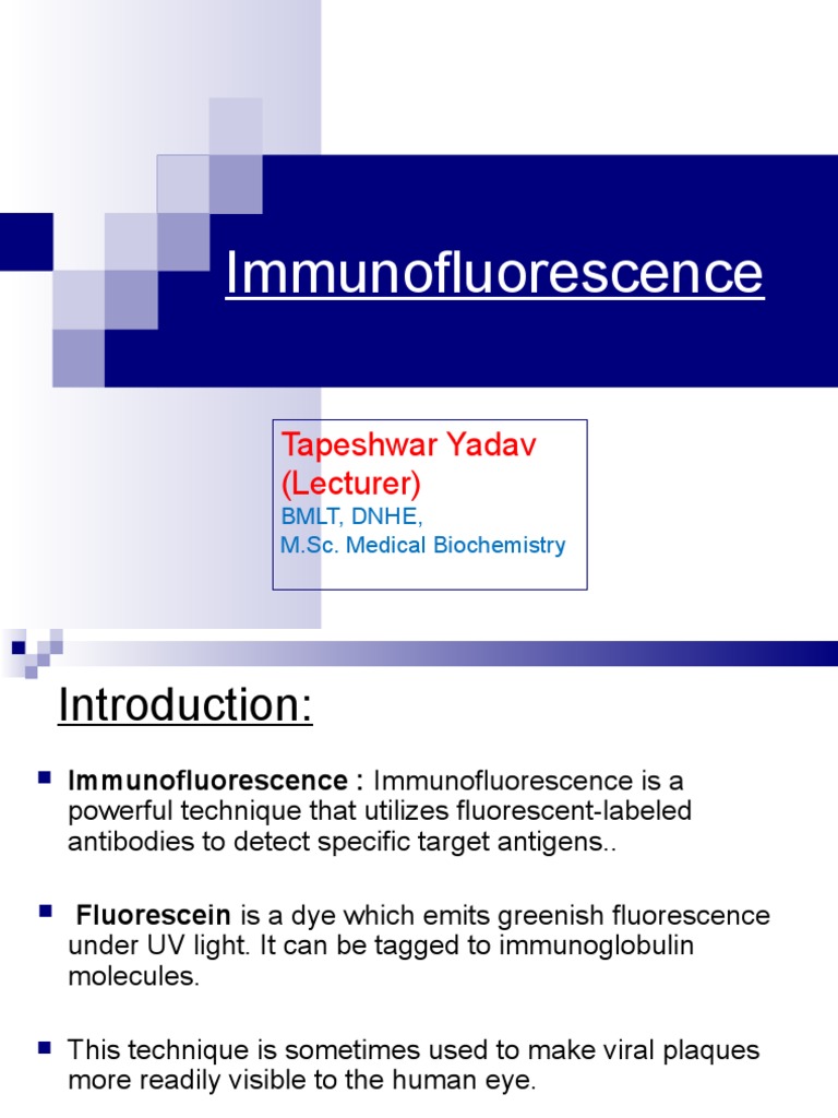 Immunofluorescence Techniques Guide | PDF | Immunofluorescence ...