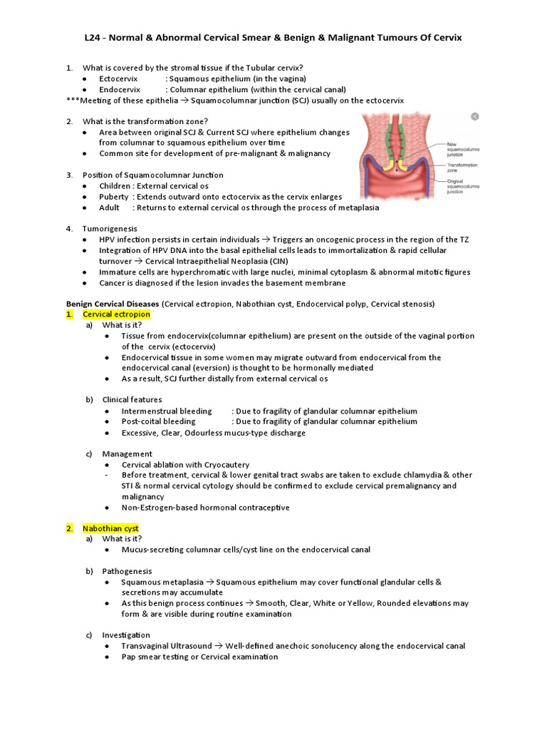 L24 - Normal & Abnormal Cervical Smear & Benign & Malignant Tumours of ...