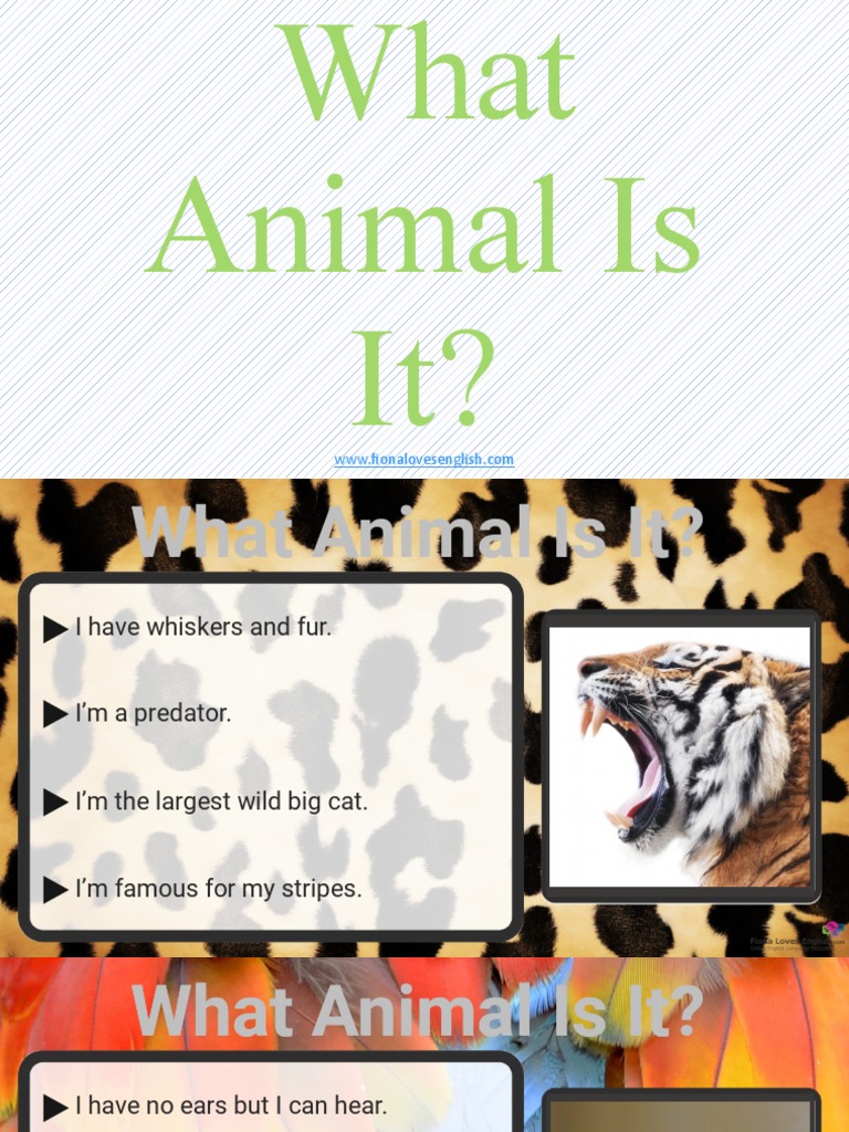Animal Riddles for Kids | PDF | Language Arts & Discipline | Home & Garden