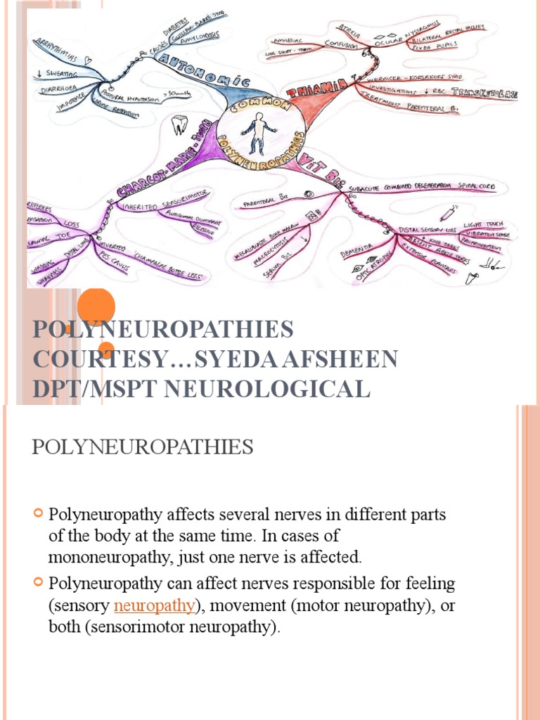 Peripheral Neuropathy Part 1 | PDF | Peripheral Neuropathy | Immunology