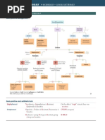 Colilert - 18 E-Coli Detection Manual | PDF | Microbiology | Bacteria