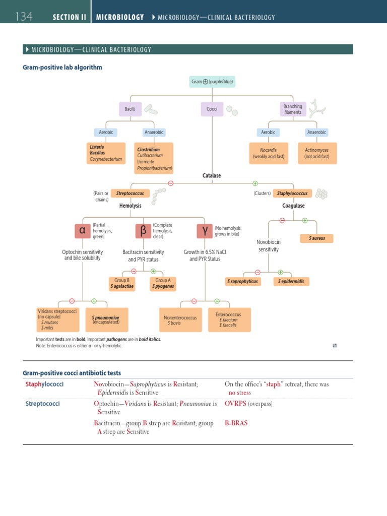 Microbiology '' Microbiology-Clinical Bacteriology Microbiology ...