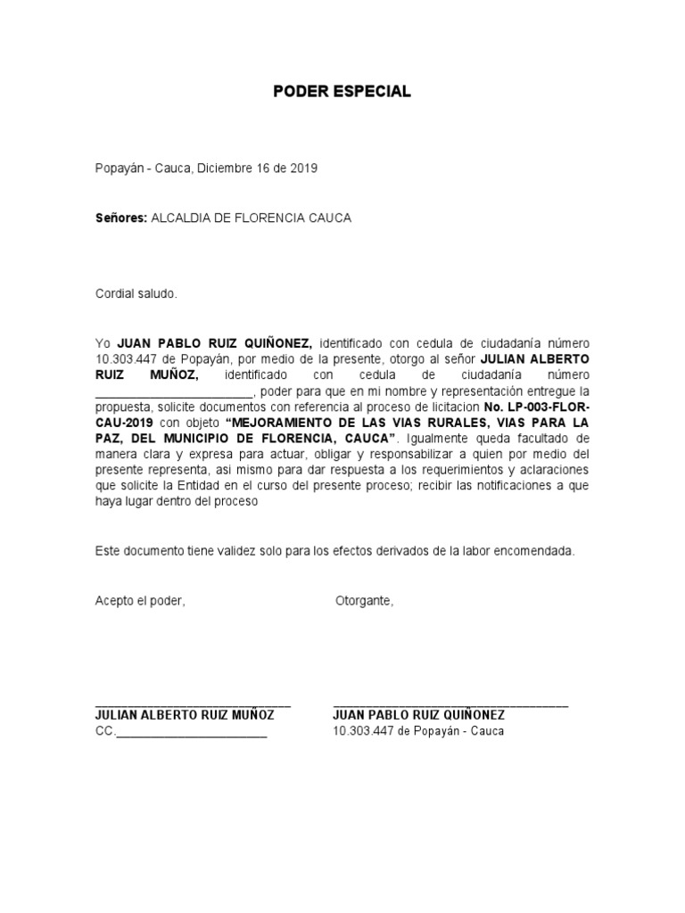 Poder Especial | PDF