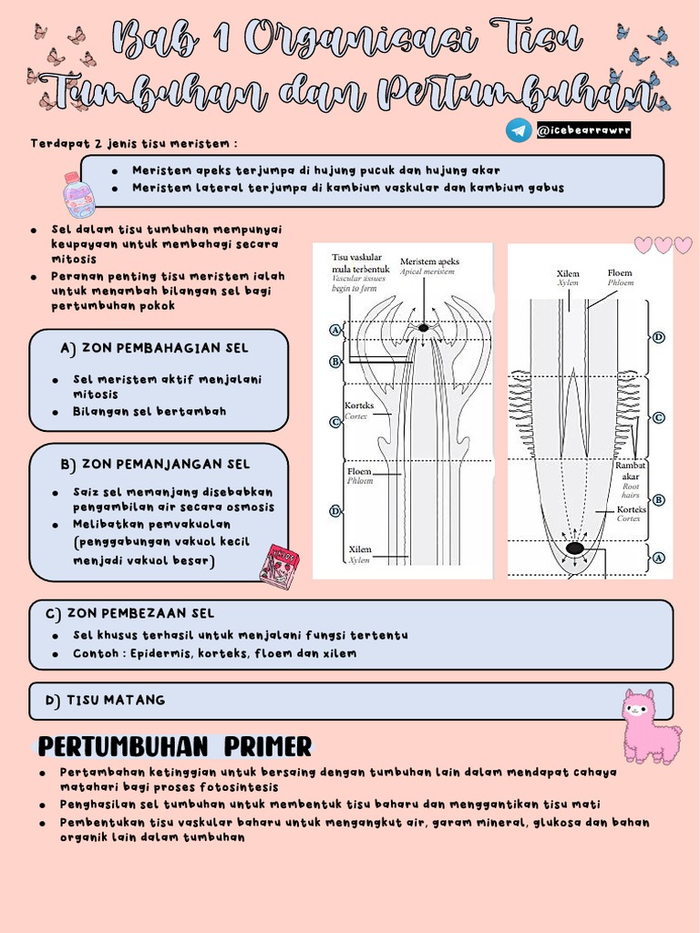 Bio Form 5 Bab 1 | PDF